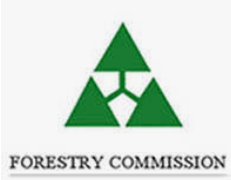 Student on Attachment: Purchasing and Supply - JobLink